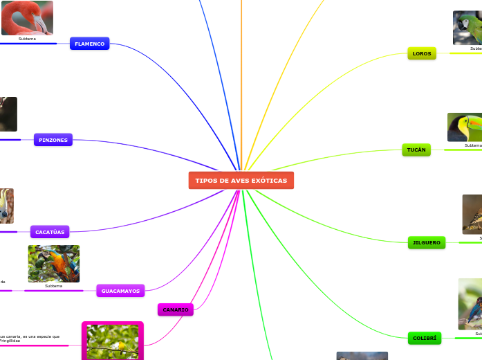 TIPOS DE AVES EXÓTICAS - Mind Map